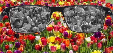 La Visión del Color y su Importancia para la Salud Visual | Óptica Baca ...